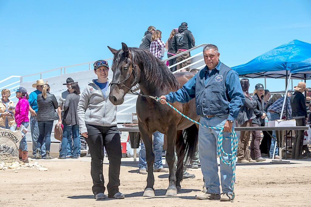 Pair of saddle-trained wild burros from Mineral County adopted ...