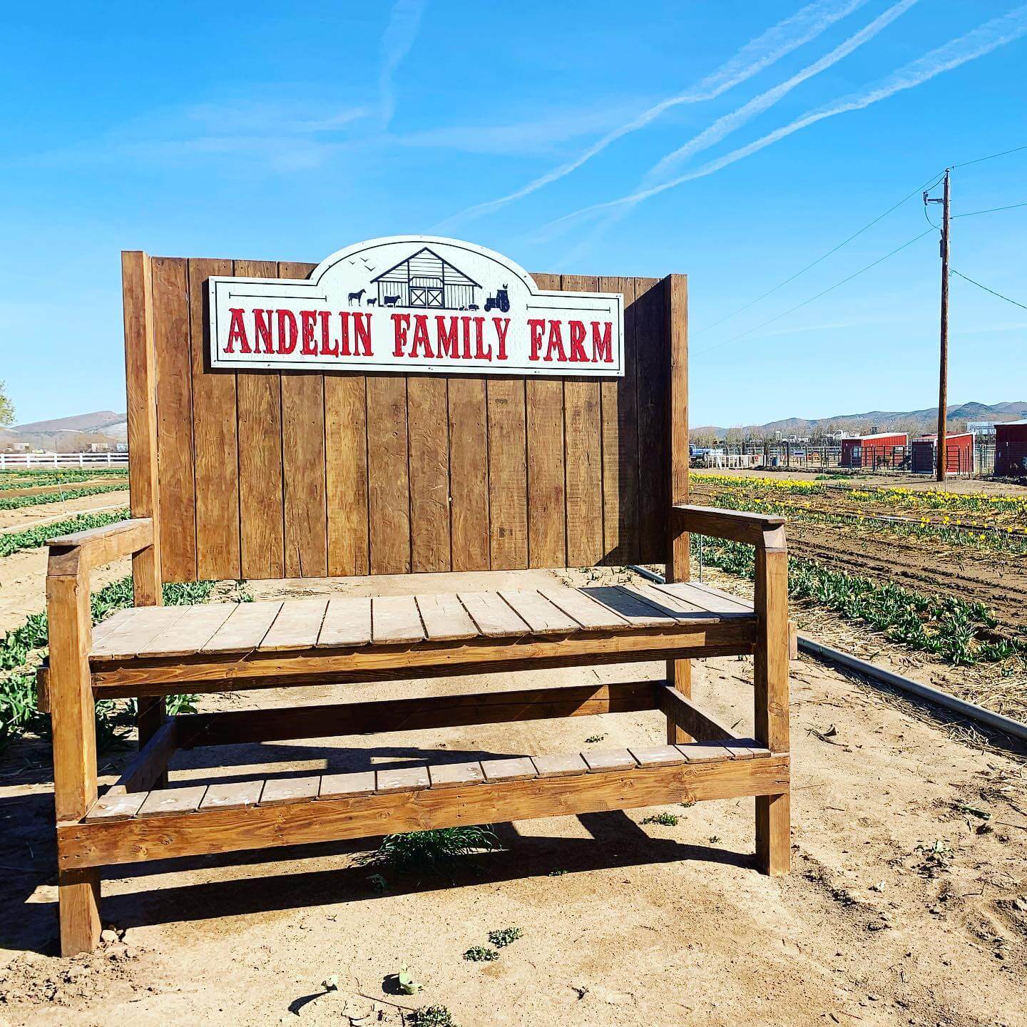 Baby Animal Days, Tulip Festival going on through April 30 at Andelin ...